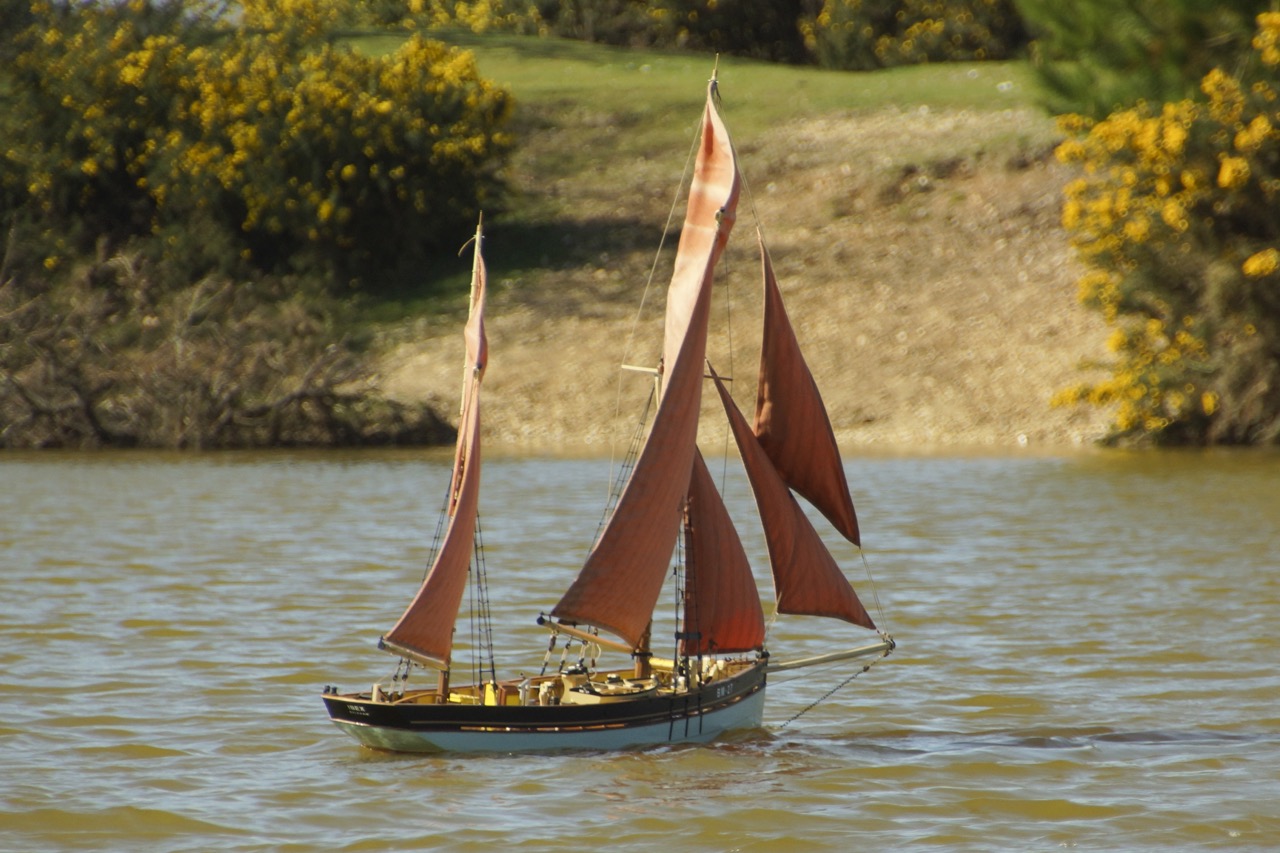 Ibex – SRCMYC/SRCMBC