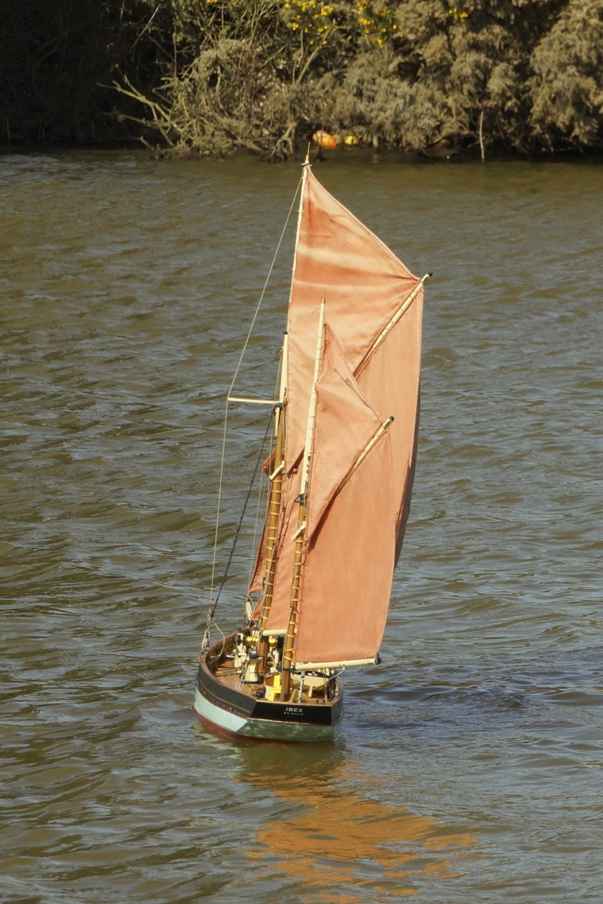 Ibex – SRCMYC/SRCMBC