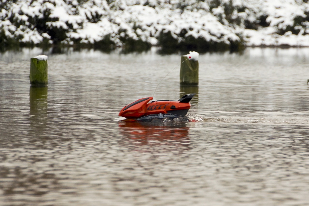 Archimedes Bug – SRCMYC/SRCMBC