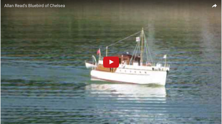 Bluebird of Chelsea – SRCMYC/SRCMBC