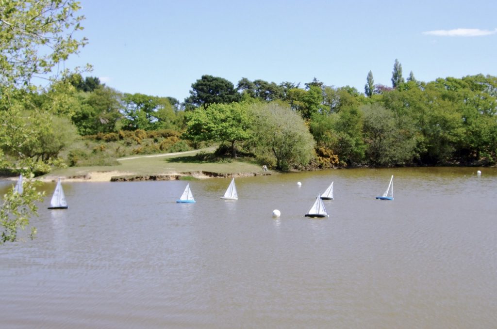 36R Met & S Open 2015 – SRCMYC/SRCMBC