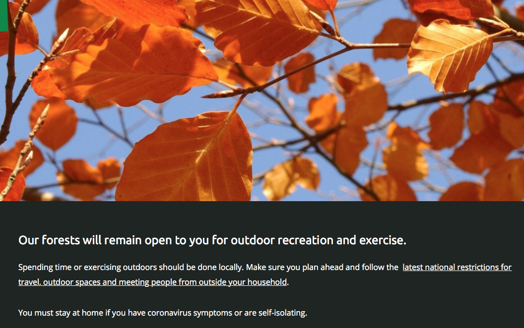 Forestry England: New Forest Access – SRCMYC/SRCMBC