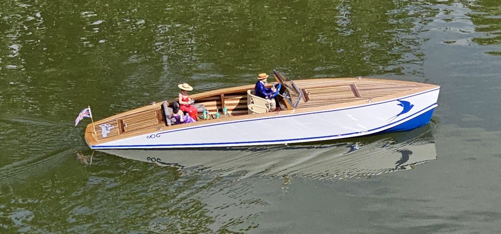 Swallow – SRCMYC/SRCMBC